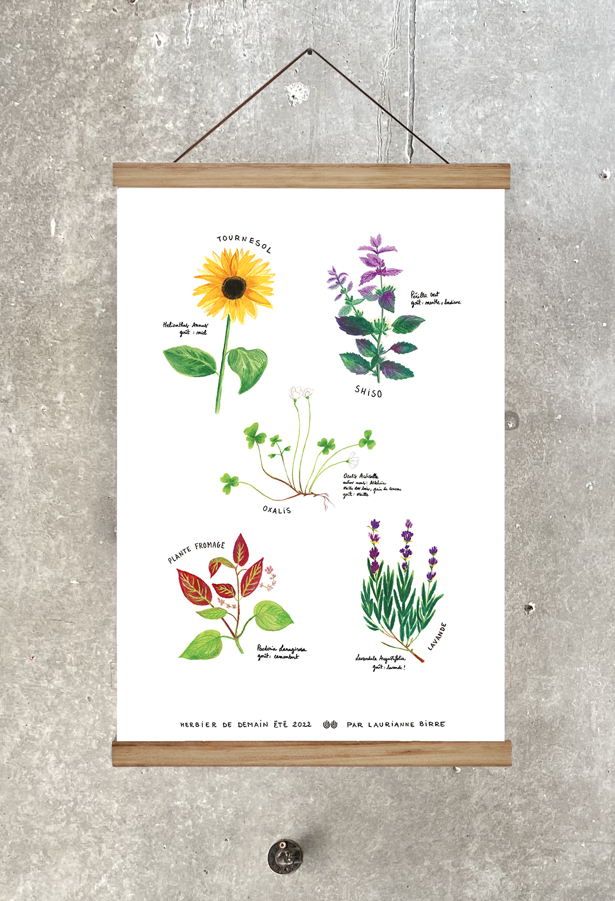 Demain - lauriannebirre